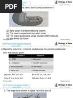 Xi - Biology - Work Sheet - Competency Based QNS | PDF | Cell Membrane | Nucleotides