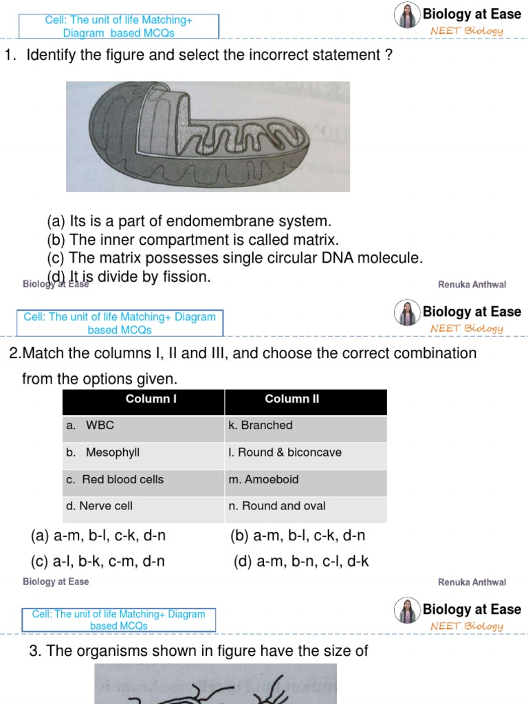 Cell The Unit of Life Matching+ Diagram Based MCQs-1 | Download Free ...