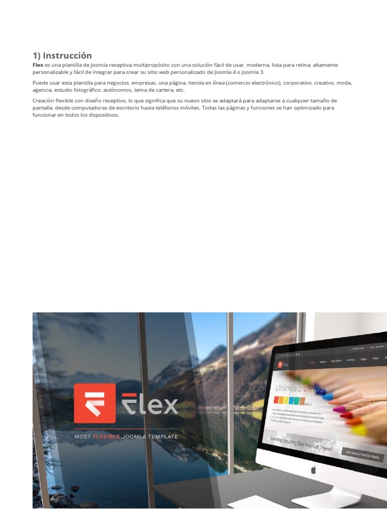Manual Flex | PDF | Microsoft Windows | Red mundial