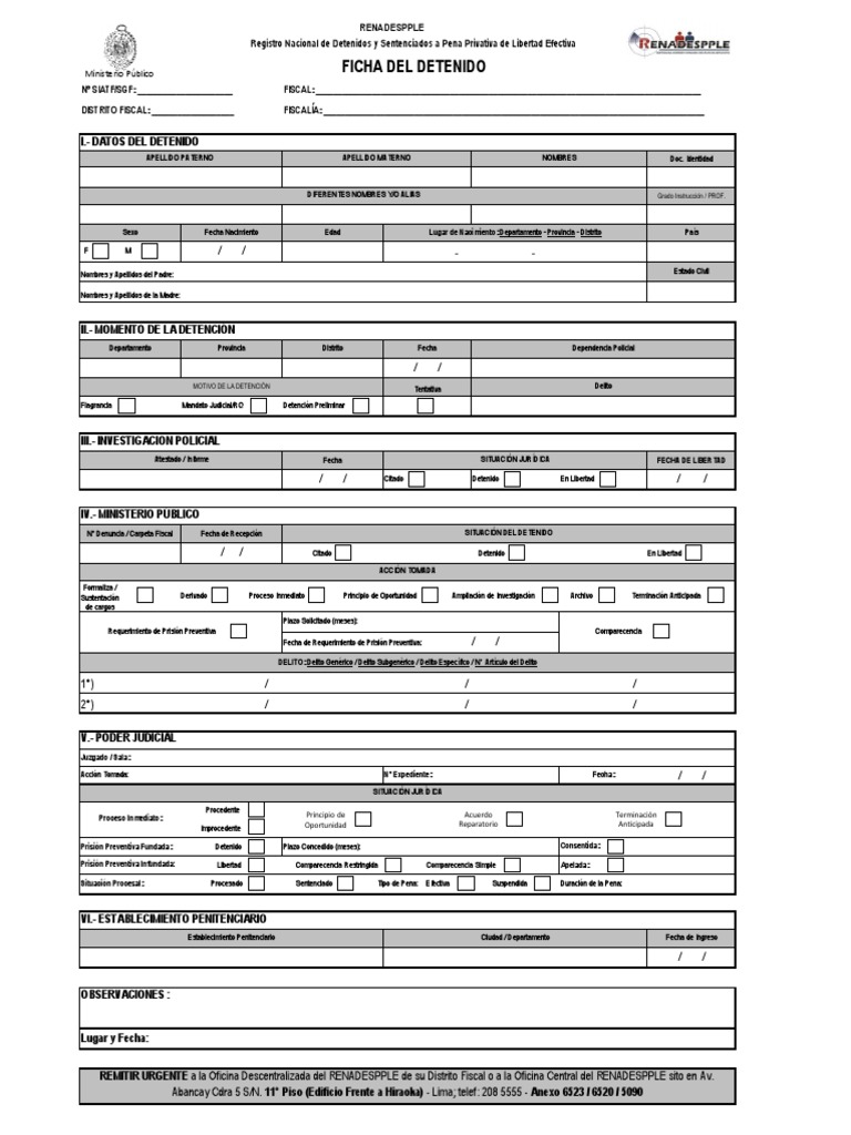 Registro Nacional de Detenidos | PDF | Prisión | Detención ...