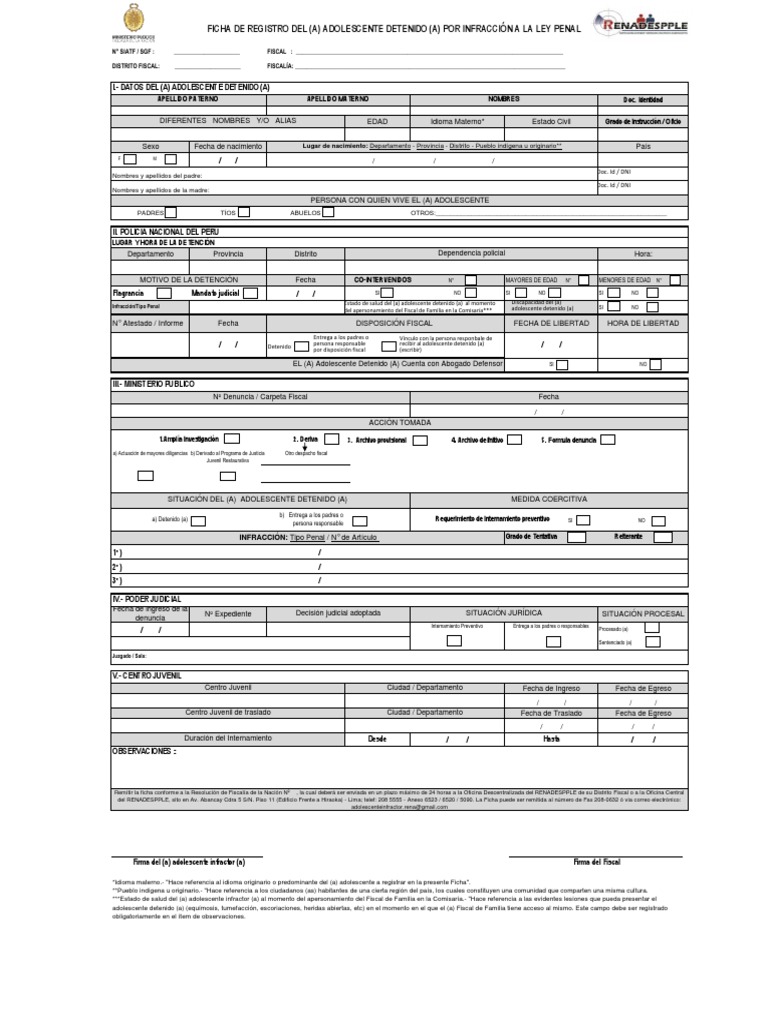 Ficha Renadespple Menor Editable | PDF