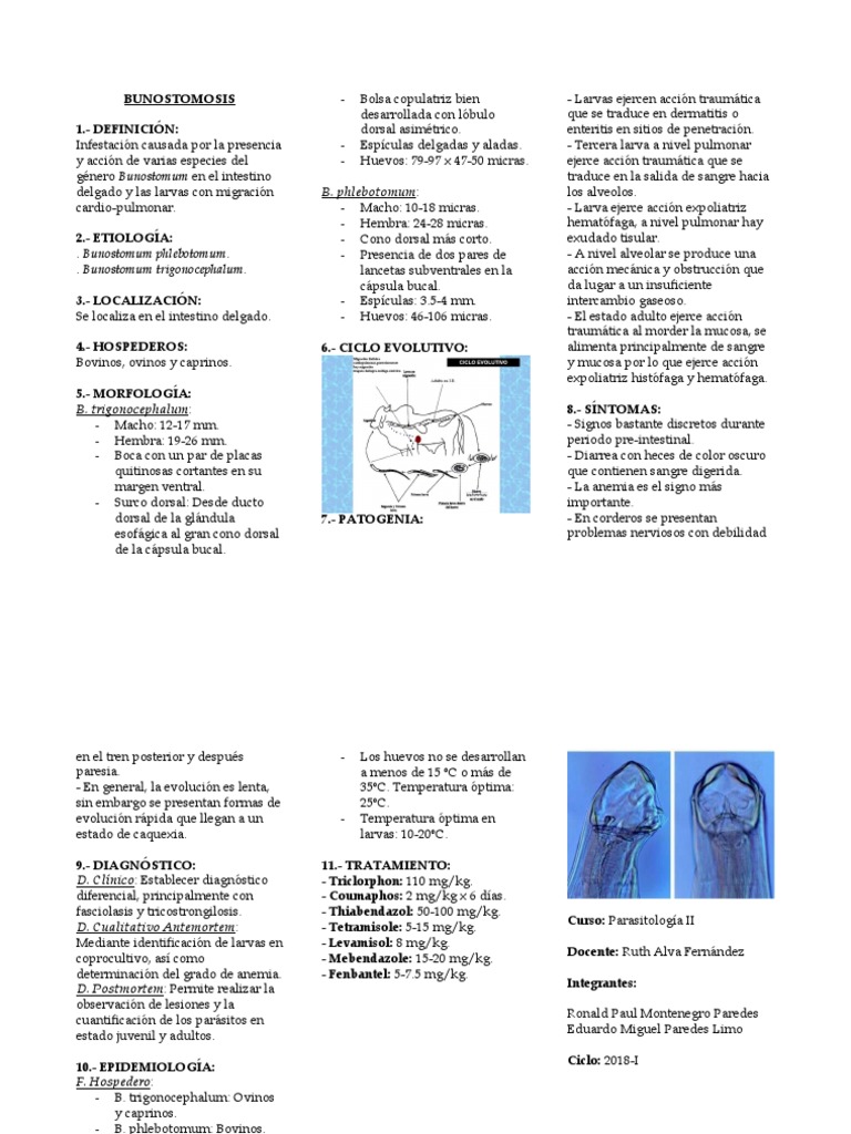 BUNOSTOMOSIS | PDF | Diarrea | Especialidades Medicas