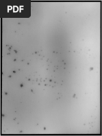 ASTM E446 A - Gas Porosity Level 3 | PDF