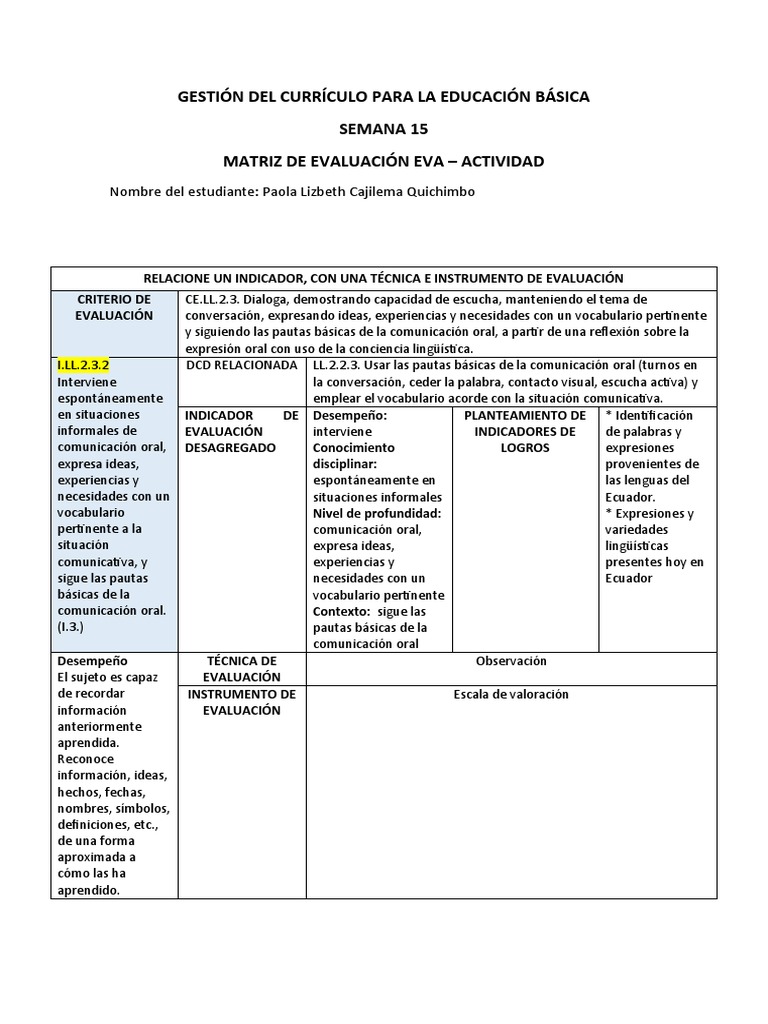 Formato Matriz EVA-Actividad | PDF | Comunicación | Evaluación