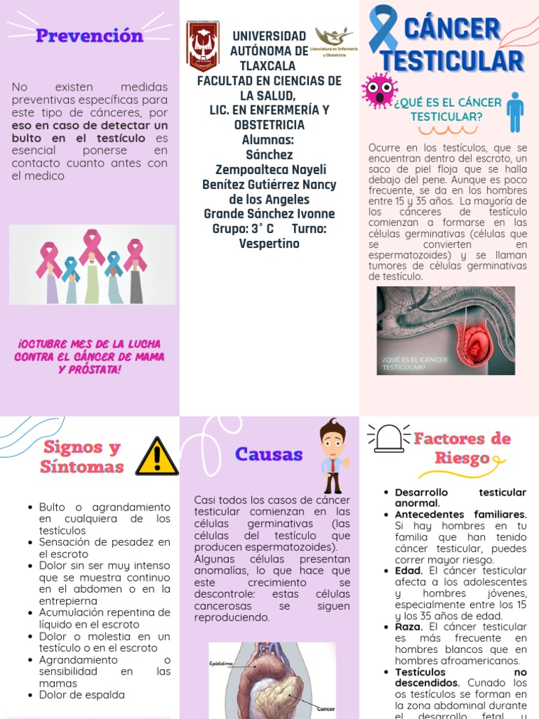 CÁncer Testicular Pdf