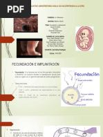 Qué Es El Meconio | PDF | Placenta | Feto