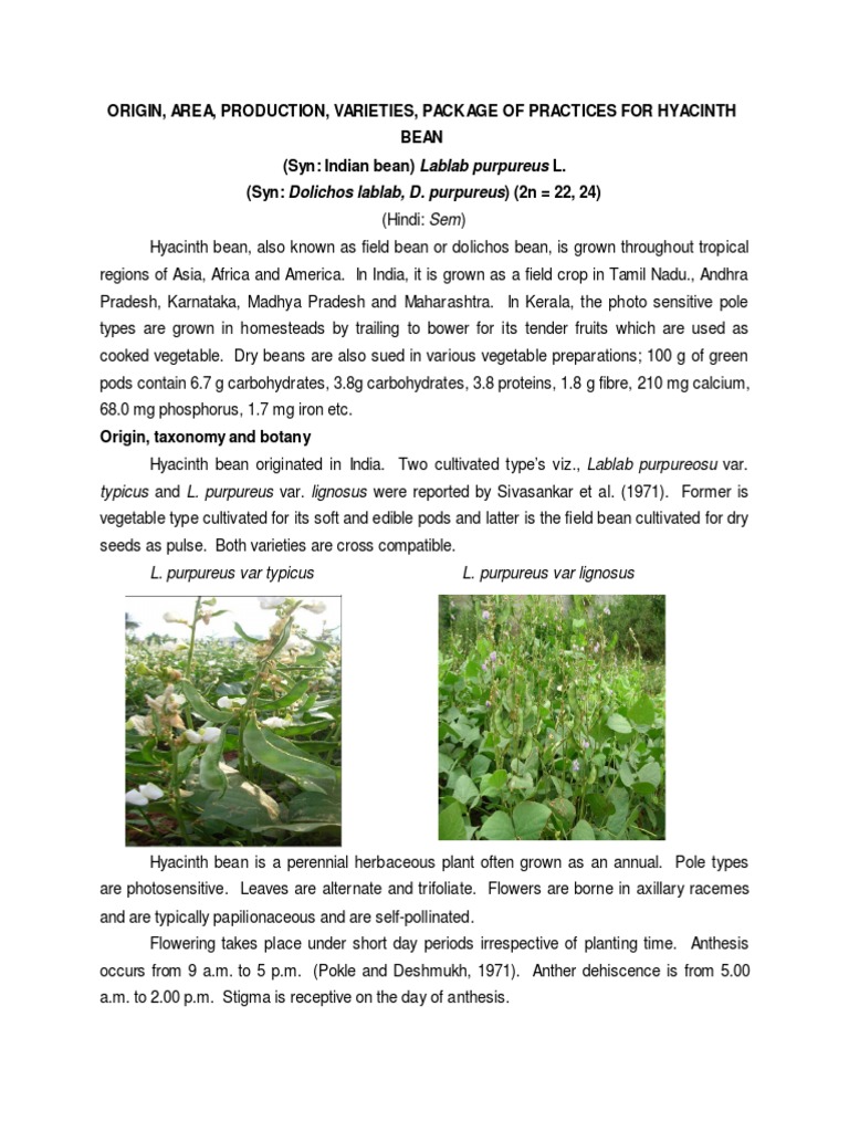 Lec 20 | Download Free PDF | Horticulture | Crops