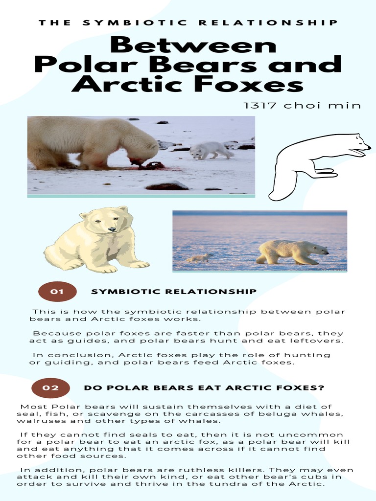 The Symbiotic Relationship Between Polar Bears and Arctic Foxes (1317 ...