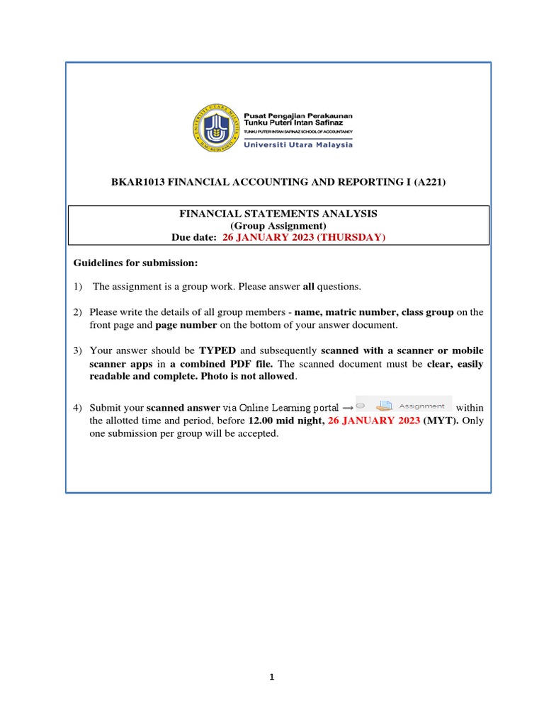 A221 - Assignment - Financial Statement Analysis | PDF