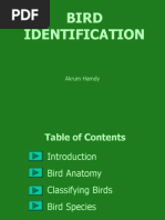 A to Z List of Bird Names | PDF