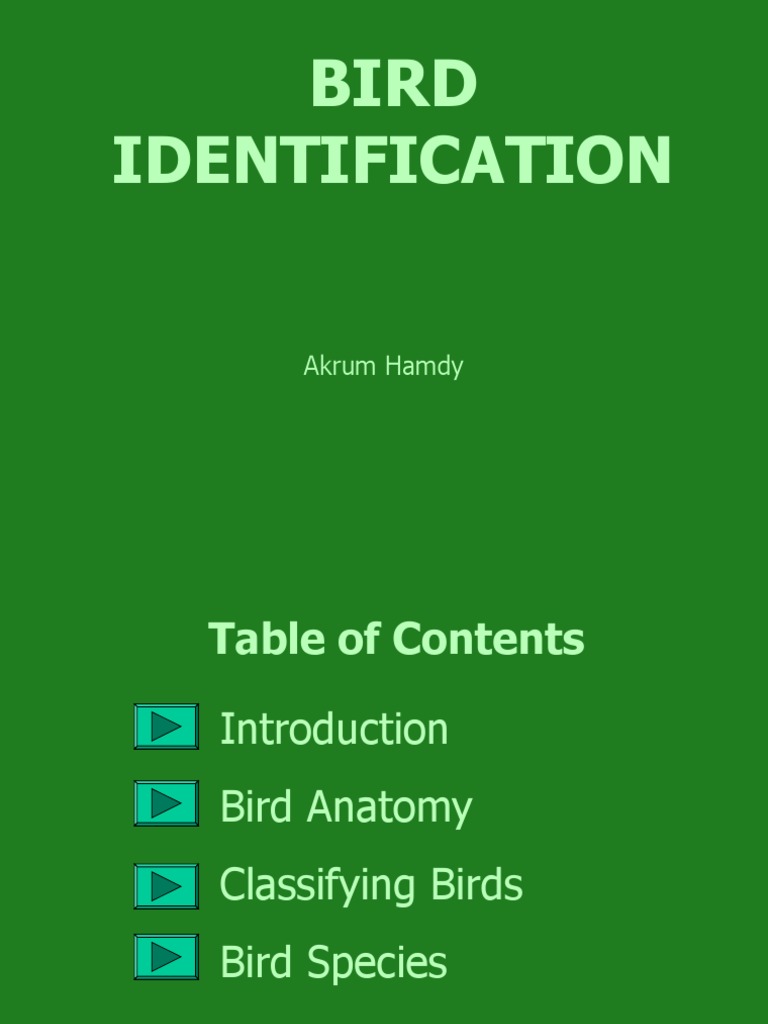 Bird Identification and Classification Guide | PDF | Birds | Columbidae
