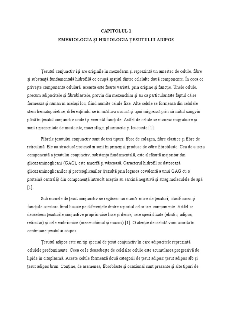 Draft Amortit | PDF