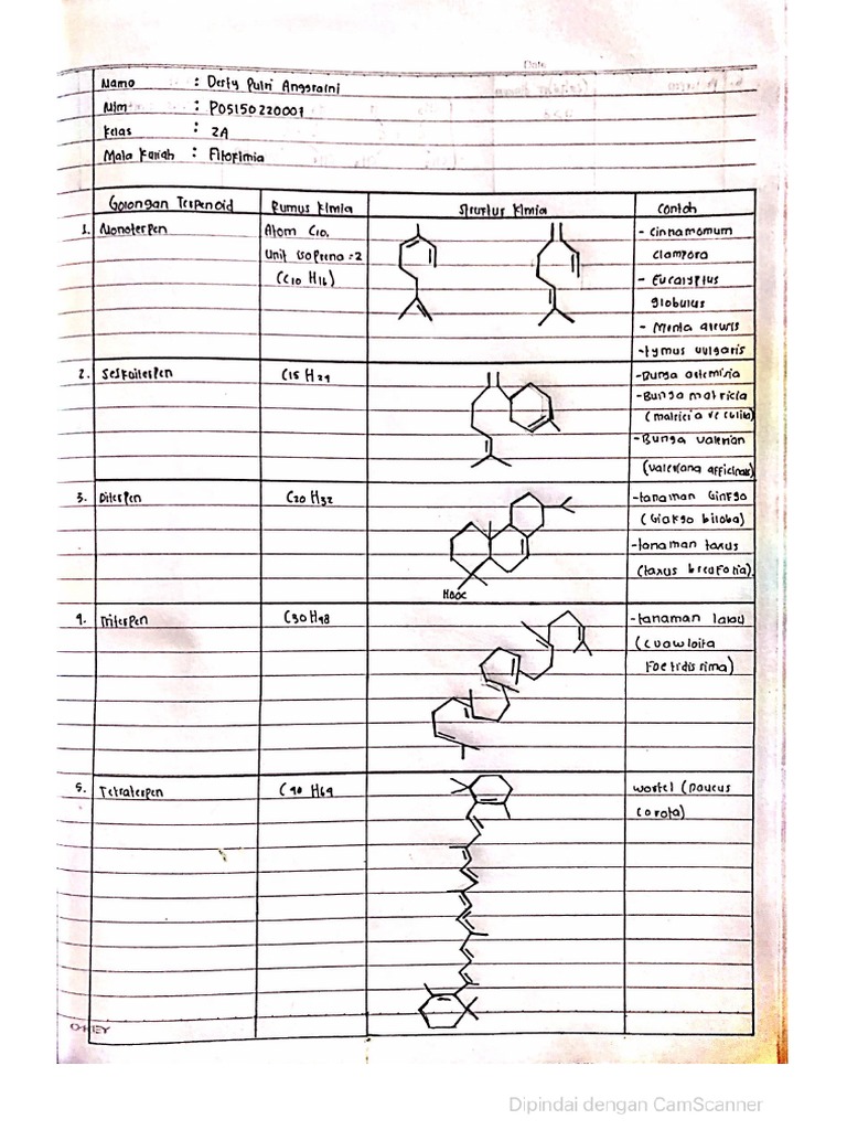 2A-007 Desty Putri Anggraini (Fitokimia) | PDF