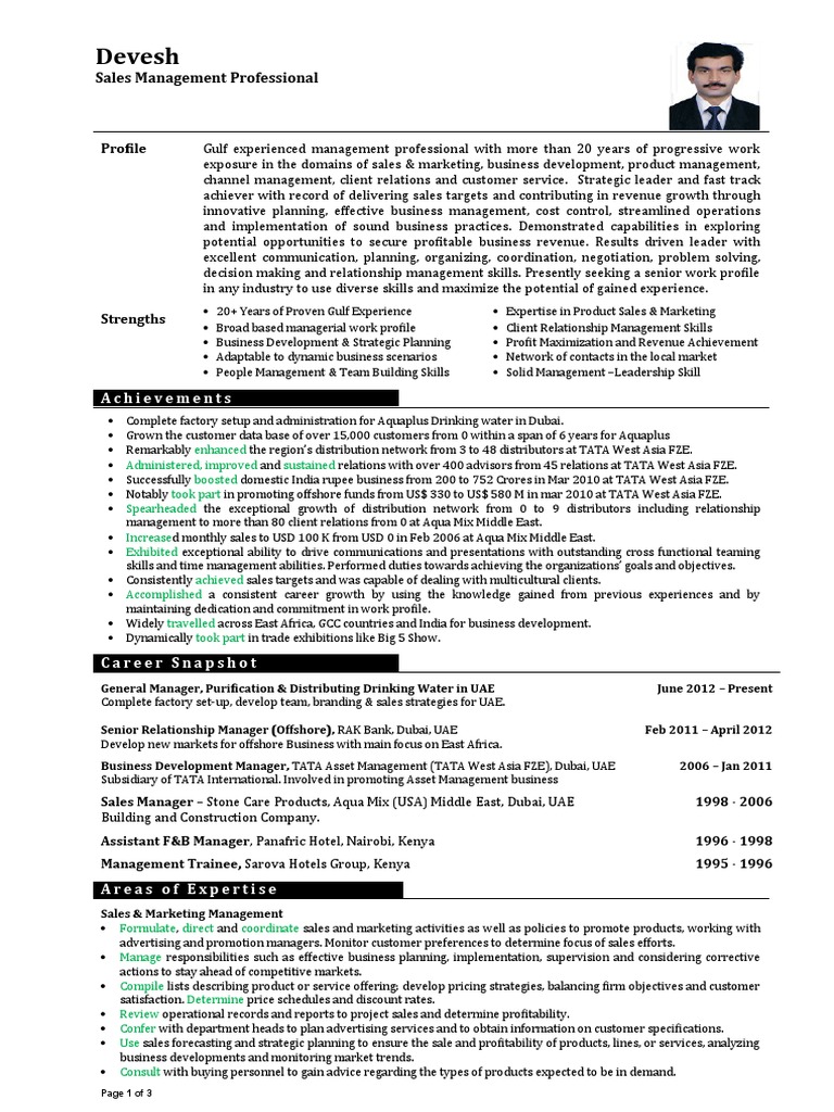 Sales Manager CV Format | Download Free PDF | Marketing | Sales