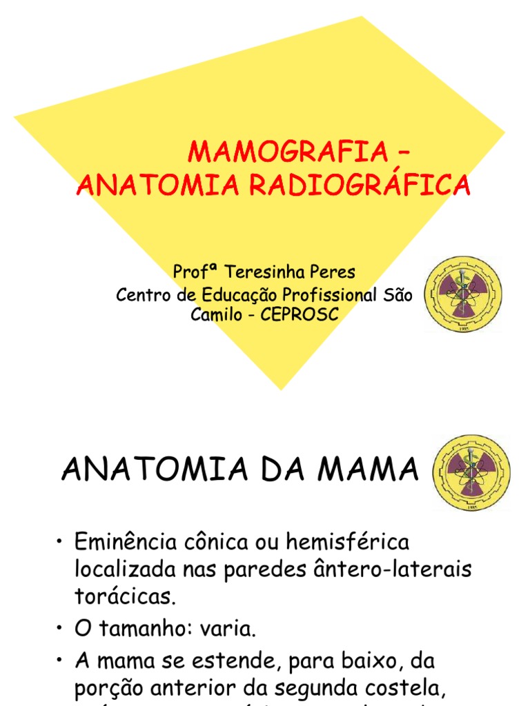 Anatomia da Mama: Estruturas e Quadrantes | PDF | Ciências e Matemática