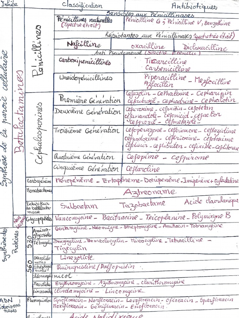 Familles Des Antibiotiques - 101714 | PDF