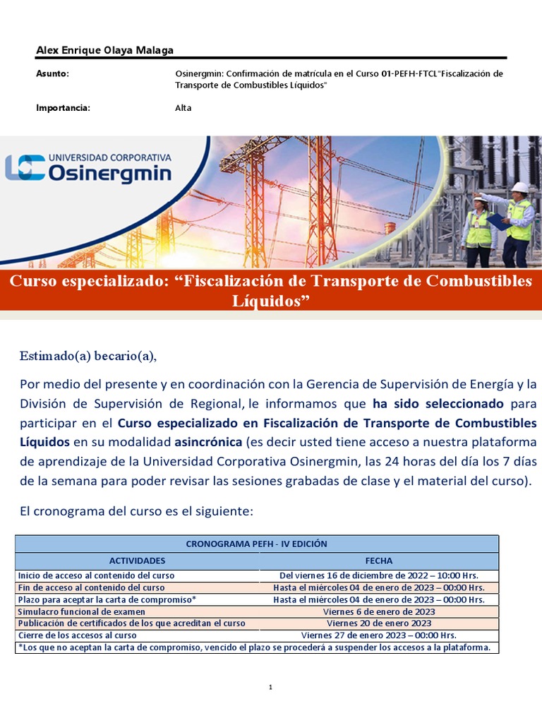 FTCL - Indicaciones Previas | PDF
