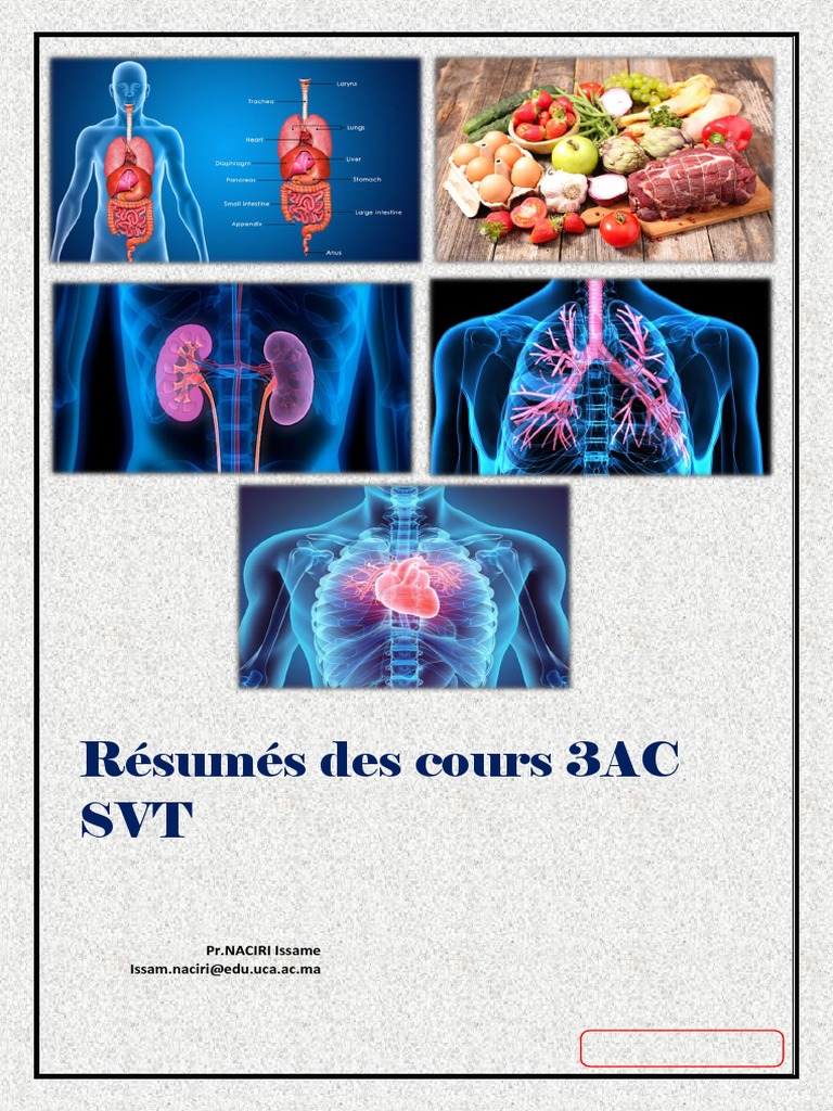 Résumés de SVT 3AC : Alimentation et Digestion | PDF | Sang | Nutrition