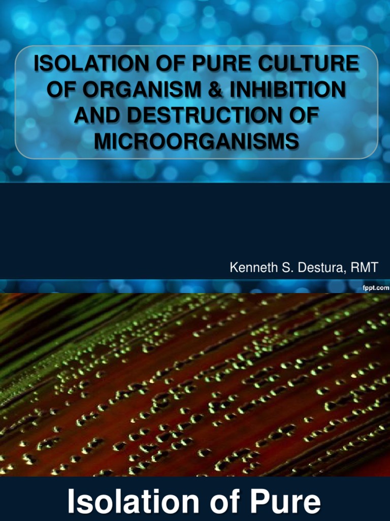 Isolation of Microorganisms | PDF