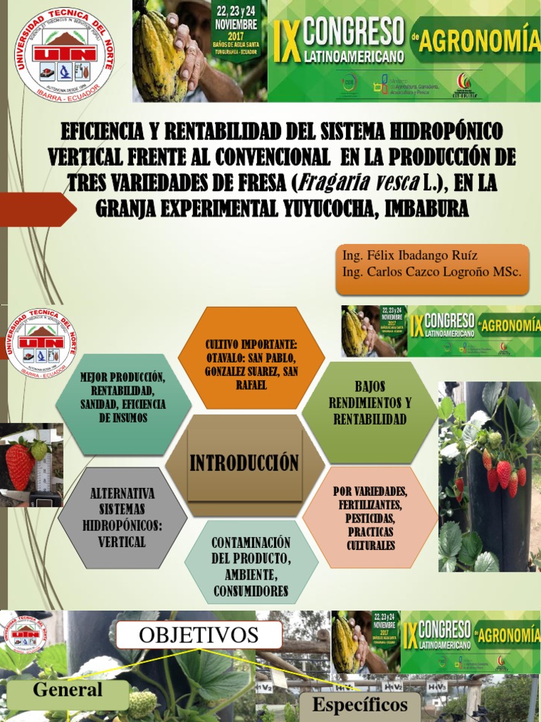 Eficiencia y Rentabilidad Del Sistema Hidroponico Vertical Frente Al Convencional en La ...