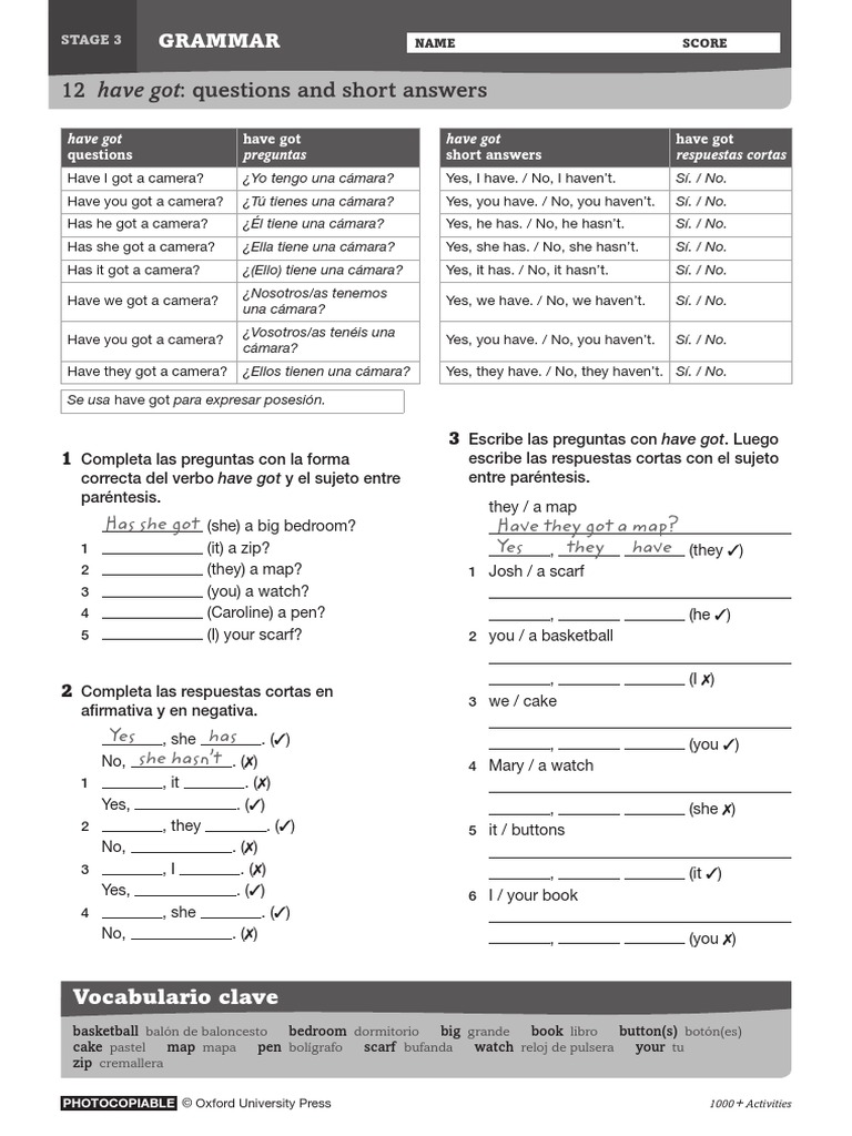 80 12 Have Got - Questions and Short Answers | PDF