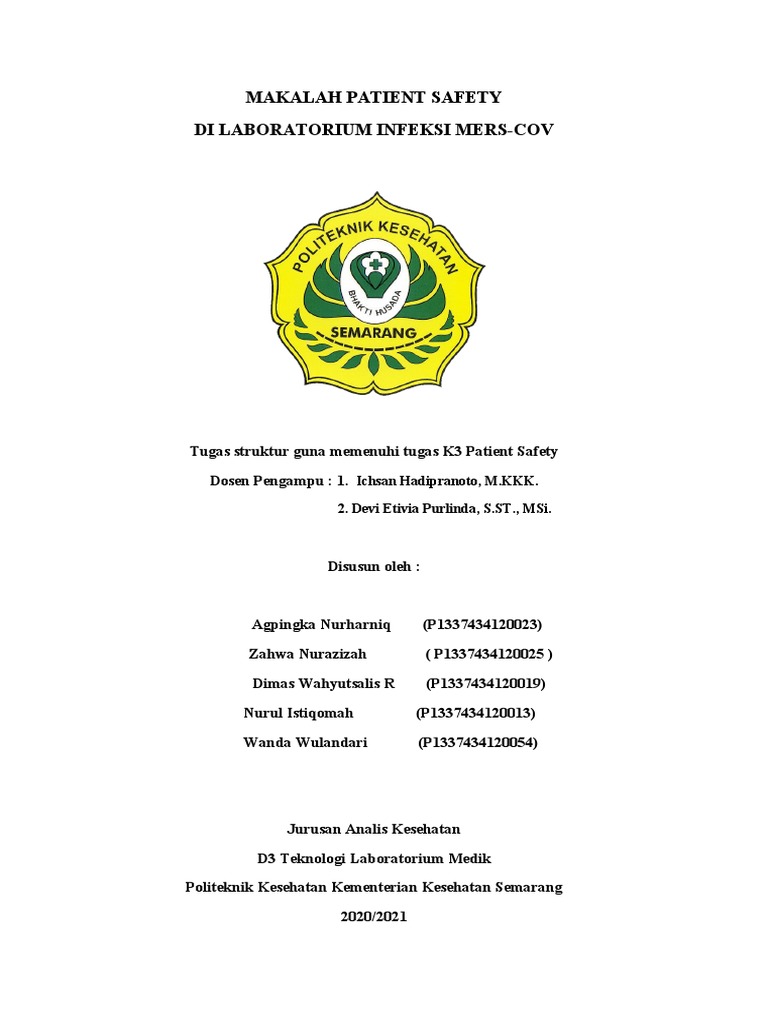 Makalah Patient Safety | PDF