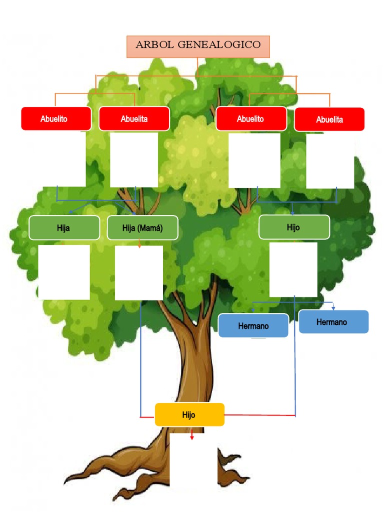 Arbol Genealogico | PDF
