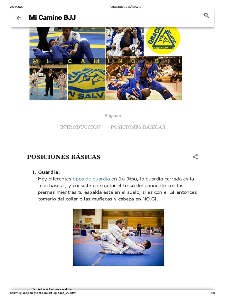 Posiciones Básicas | PDF | Jiu Jitsu Brasileño | Combate