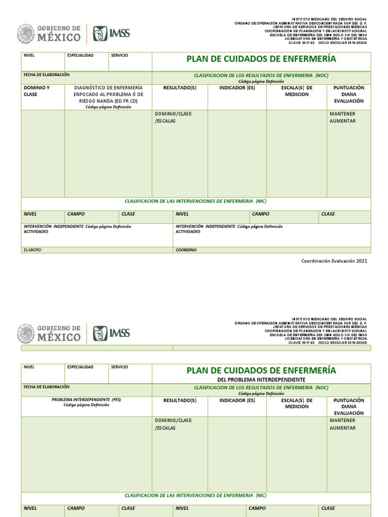 Formato Place Eecmnsxxi Imss | PDF | Enfermería | Ciencias de la Salud
