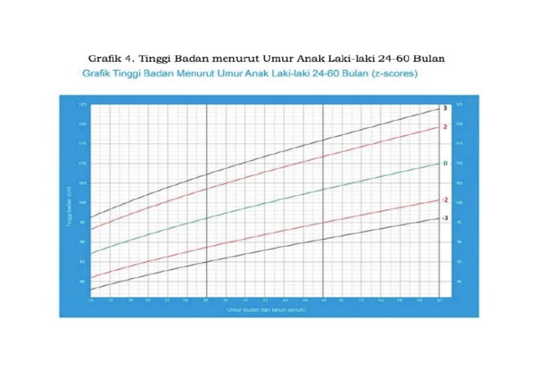 GRAFIK Z SCORE LAKI-LAKI TB Per U 24-60 BLN | PDF