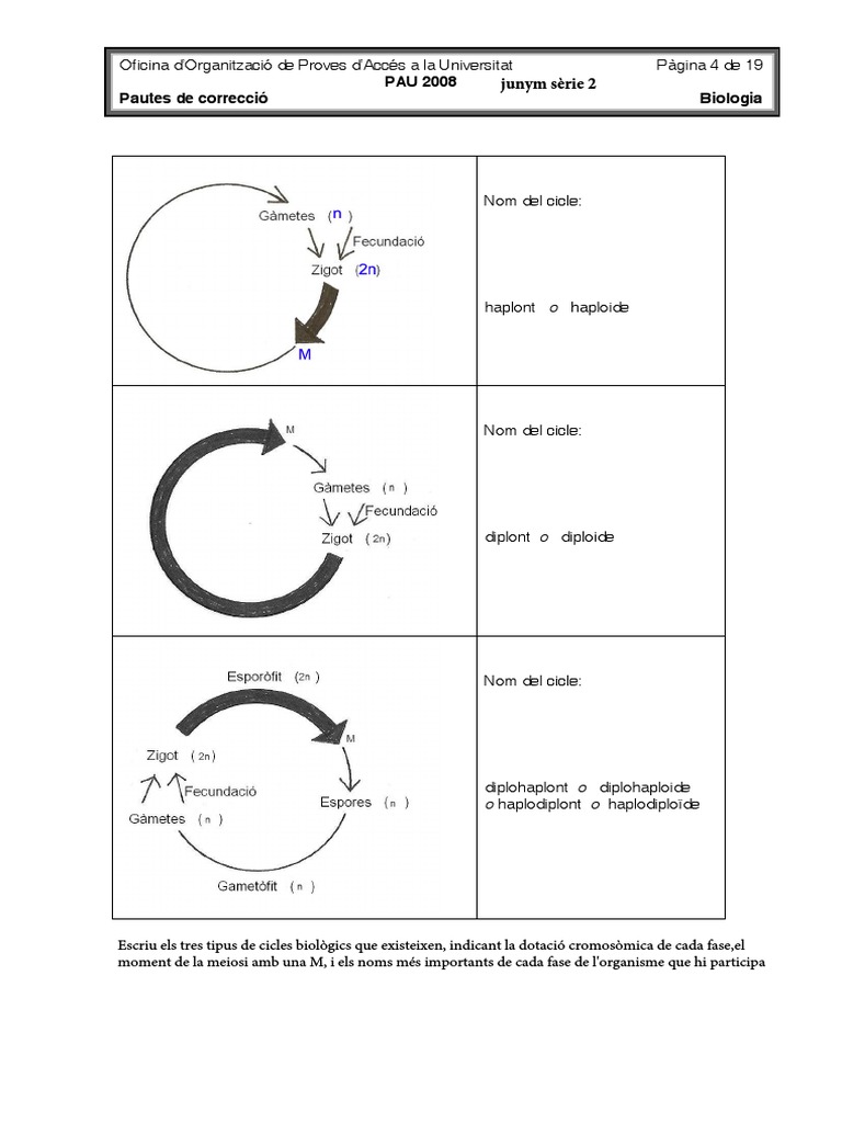 9 Cicles Biologics | PDF