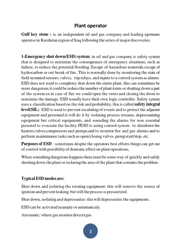 Plant Operator | PDF | Fluid Dynamics | Valve