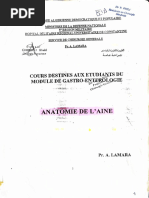 Segmentation Hépatique: Concepts Clés | PDF | Foie | Morphologie (Biologie)