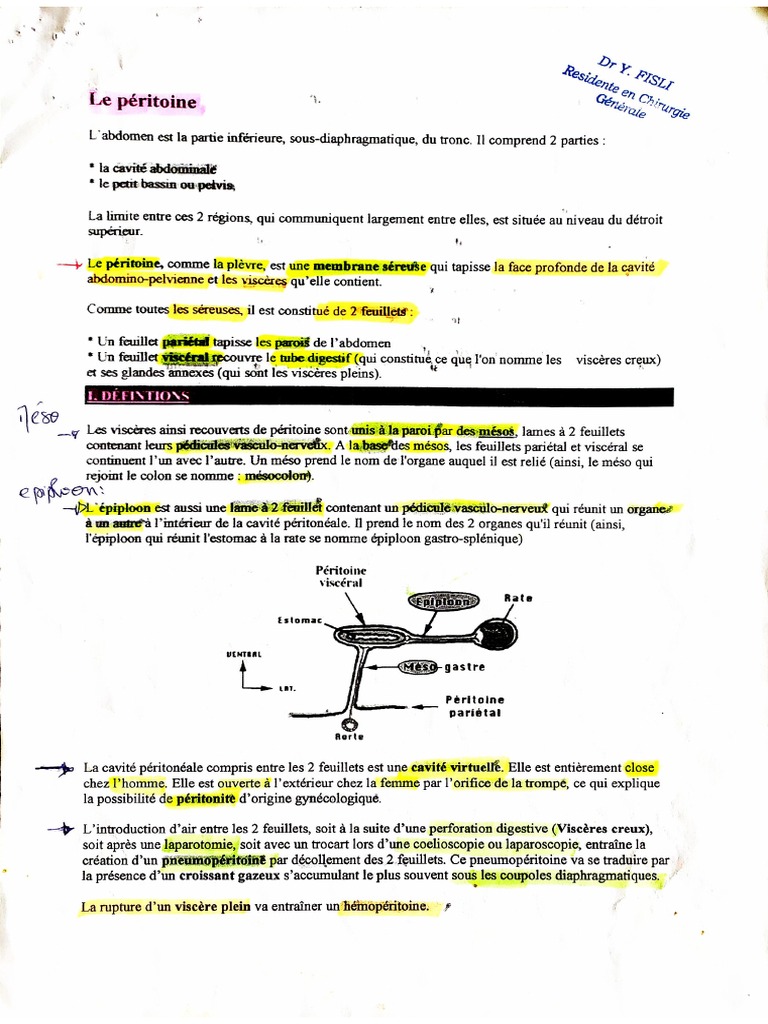 Anato Péritoine | PDF