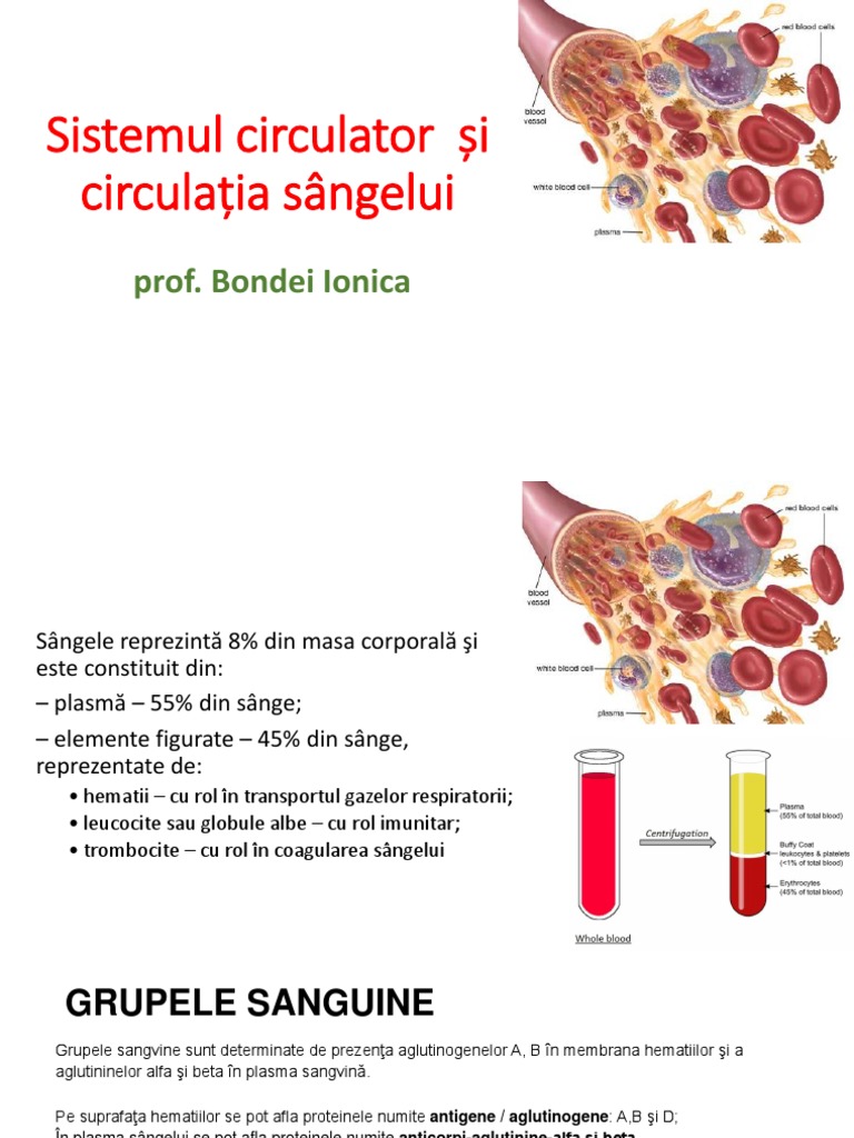 Circulatia 11 | PDF