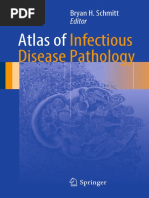 Iec 60502-1 - (2021) 17 | PDF