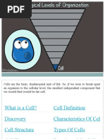 Cell Organelles Worksheet | PDF | Endoplasmic Reticulum | Cell (Biology)