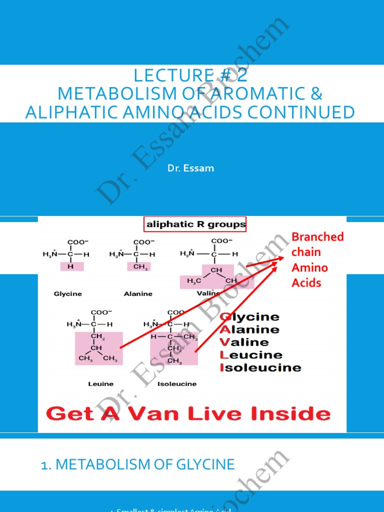 3rdsem Biochem AROMATIC AND ALIPHATIC AMINO ACIDS Continued | PDF ...