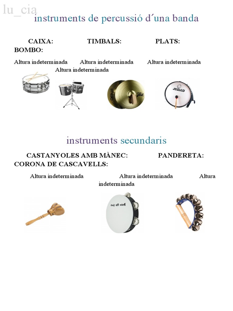 Música Clasificación Instrumentos Musicales | PDF