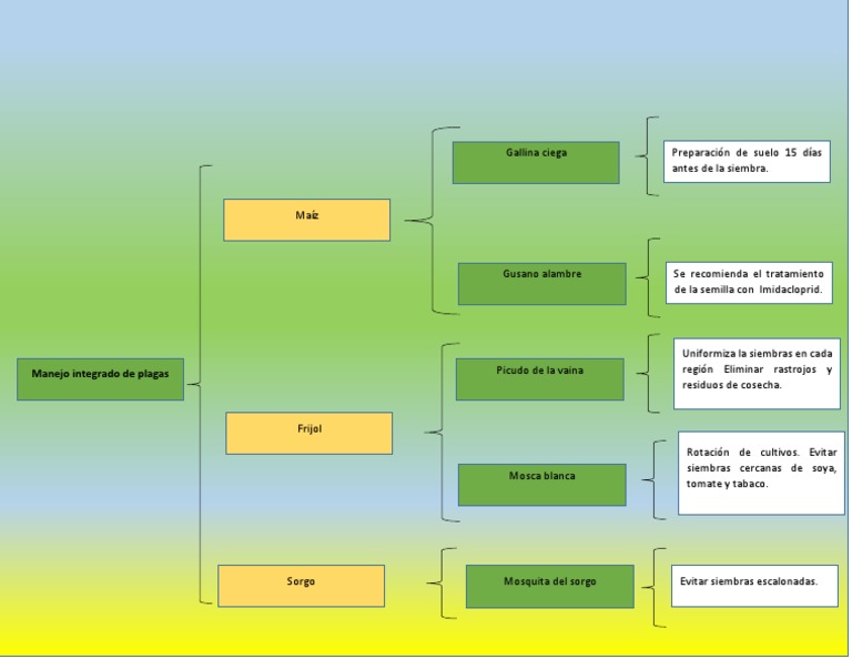 Cuadro Sinóptico Del Manejo de Plagas. | PDF