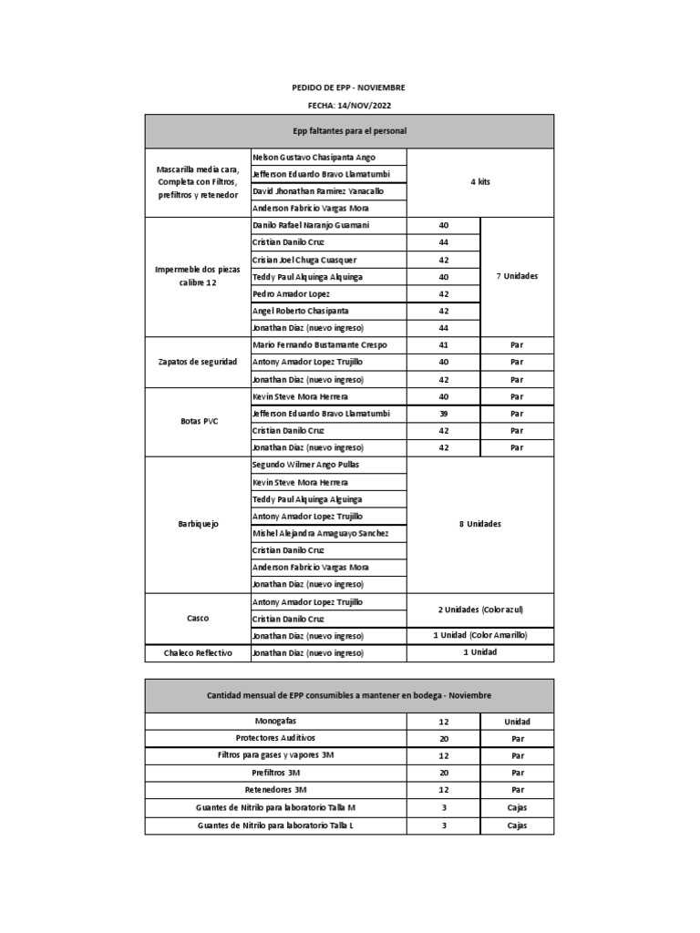 Lista de Requerimientos de EPP-Noviembre | PDF
