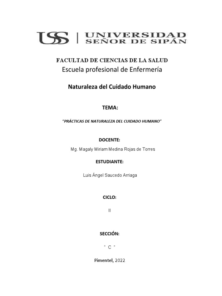 Formato de Presentación de Práctica | PDF