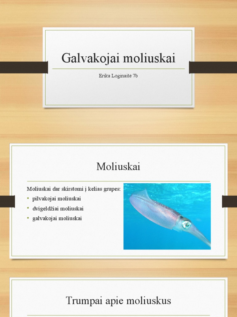 Galvakojai Moliuskai | PDF