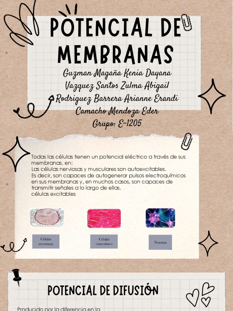 IA-S1-A3-F (C) Potencial de Membrana - Guzman - Magaña - Kenia Dayana | PDF