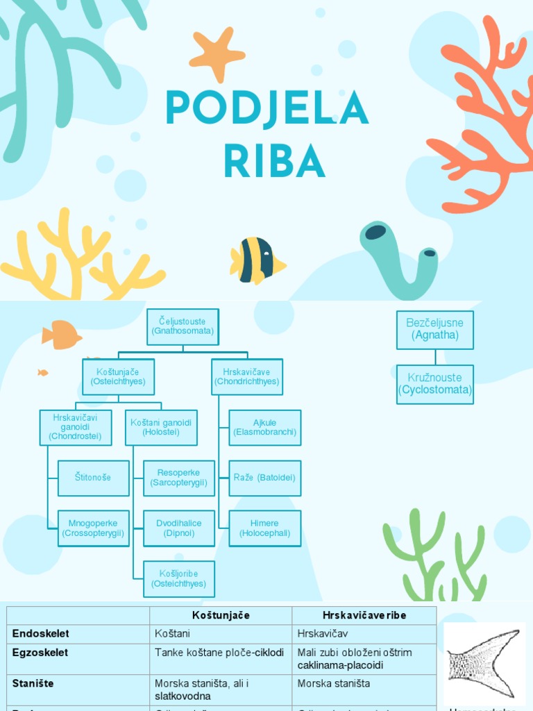 Podjela Riba, Biologija | PDF