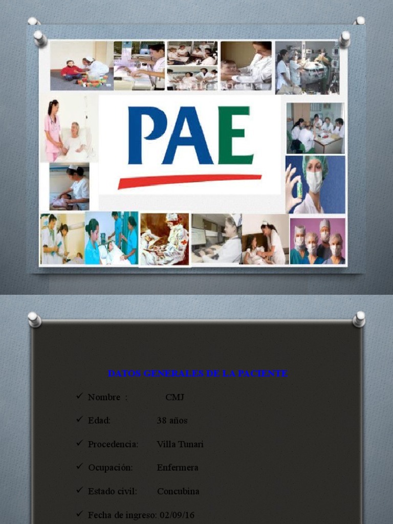 Pae Presentacion 2 | PDF