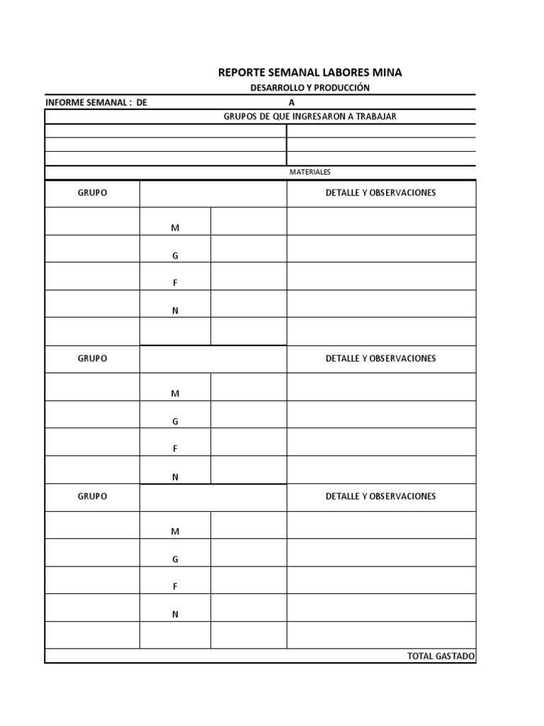 Reporte Diario Mina | PDF