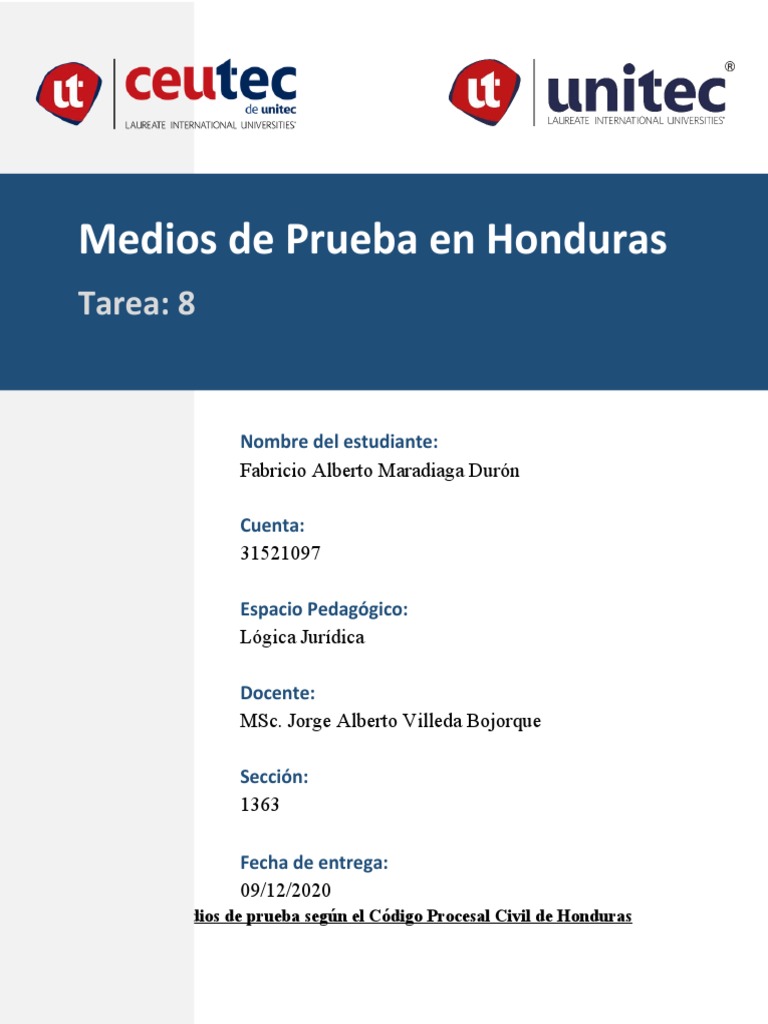 T#8 Medios de Prueba en Honduras | PDF | Testigo experto | Justicia