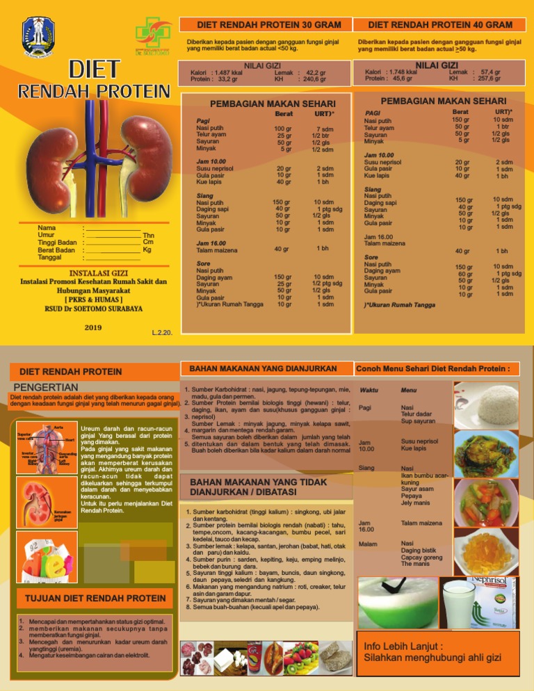 Diet Rendah Protein 2019 | PDF