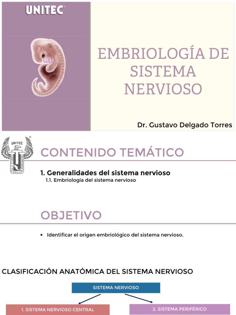 Embriología de Sistema Nervioso | PDF | Sistema nervioso | Anatomía